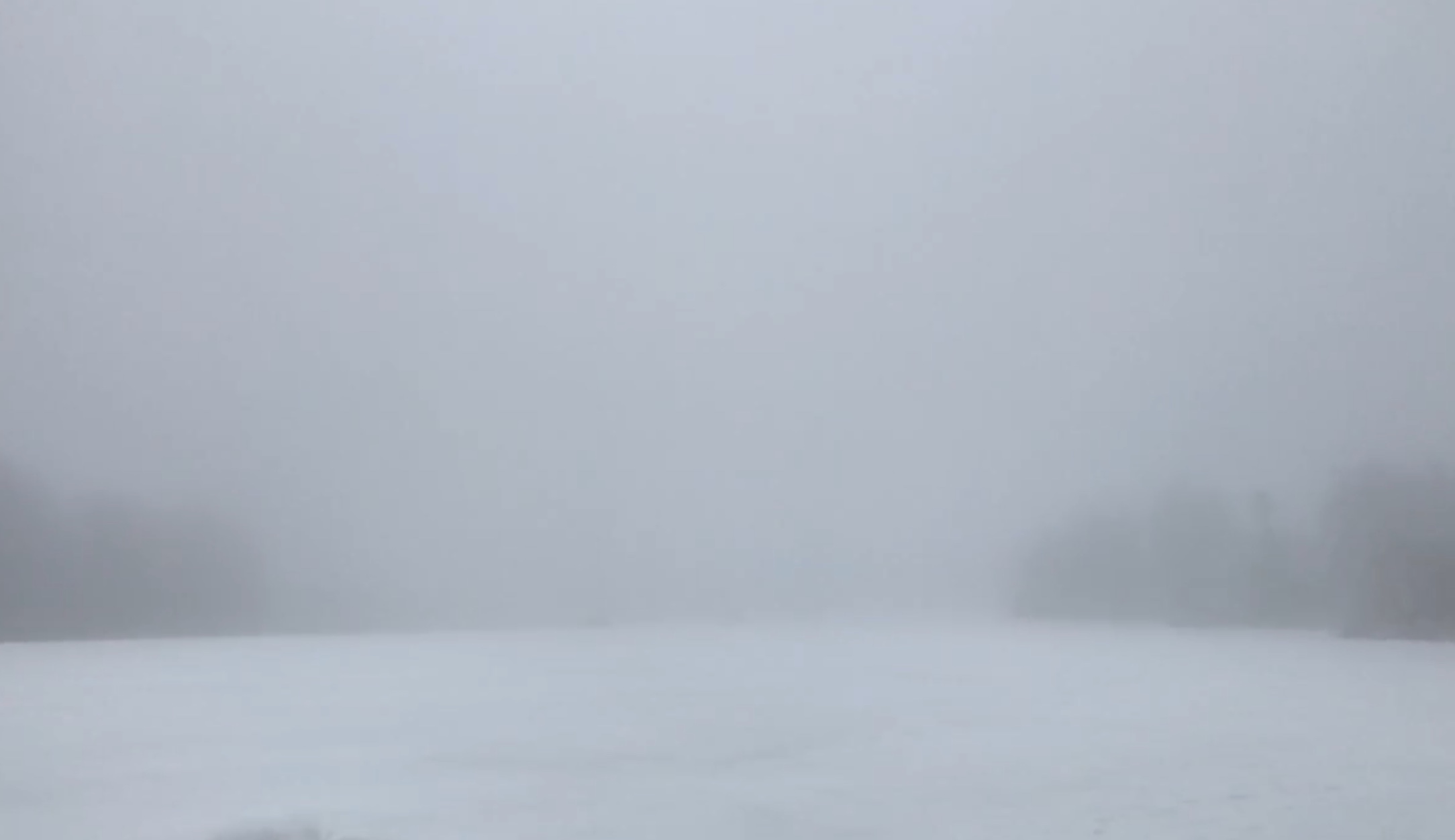 foggy snow – suzalambertbowserblog